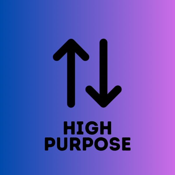 HIGH PURPOSE - Gabriel Marcelo da silva | Hotmart