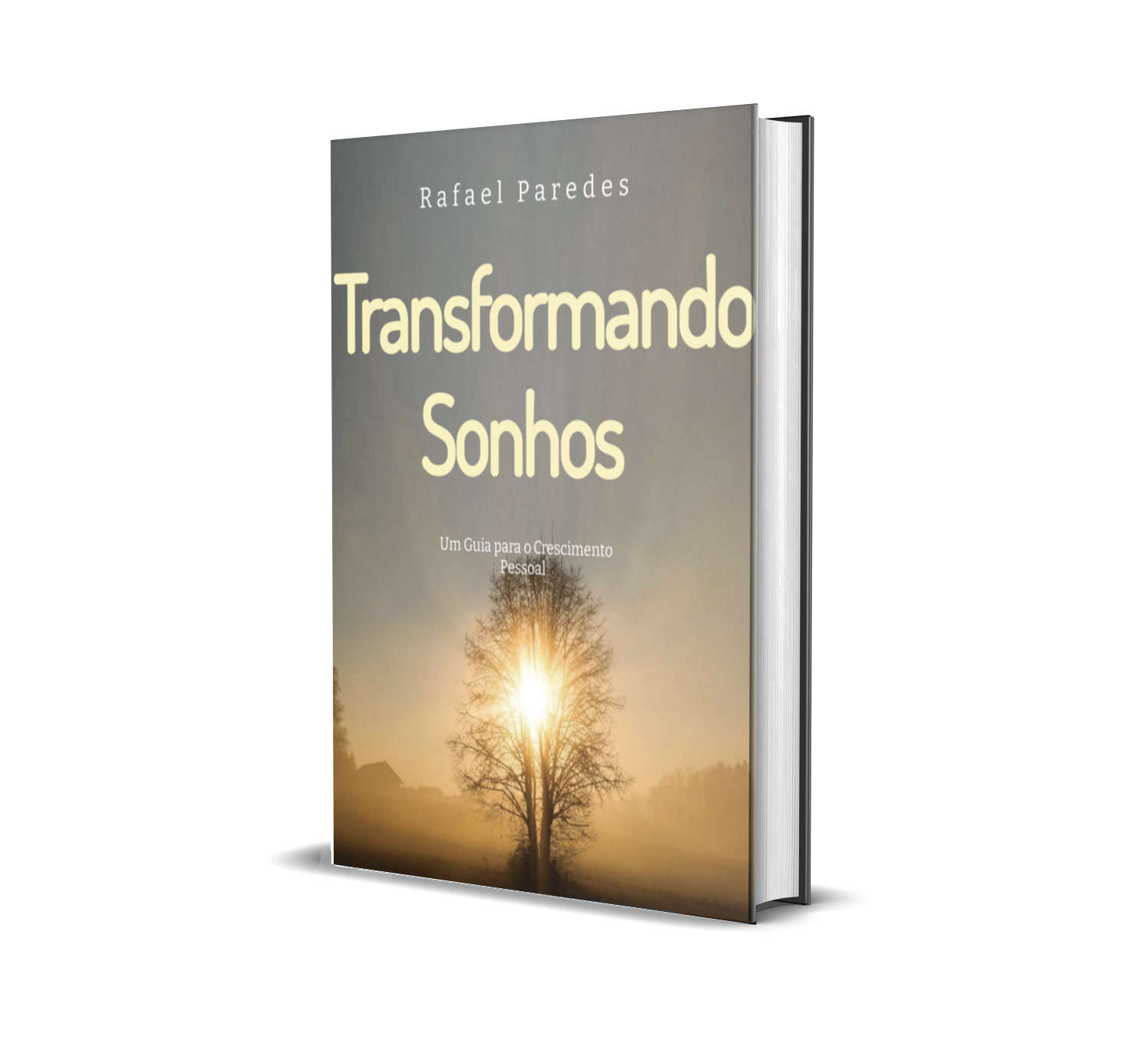 Transformando Sonhos em Realidade