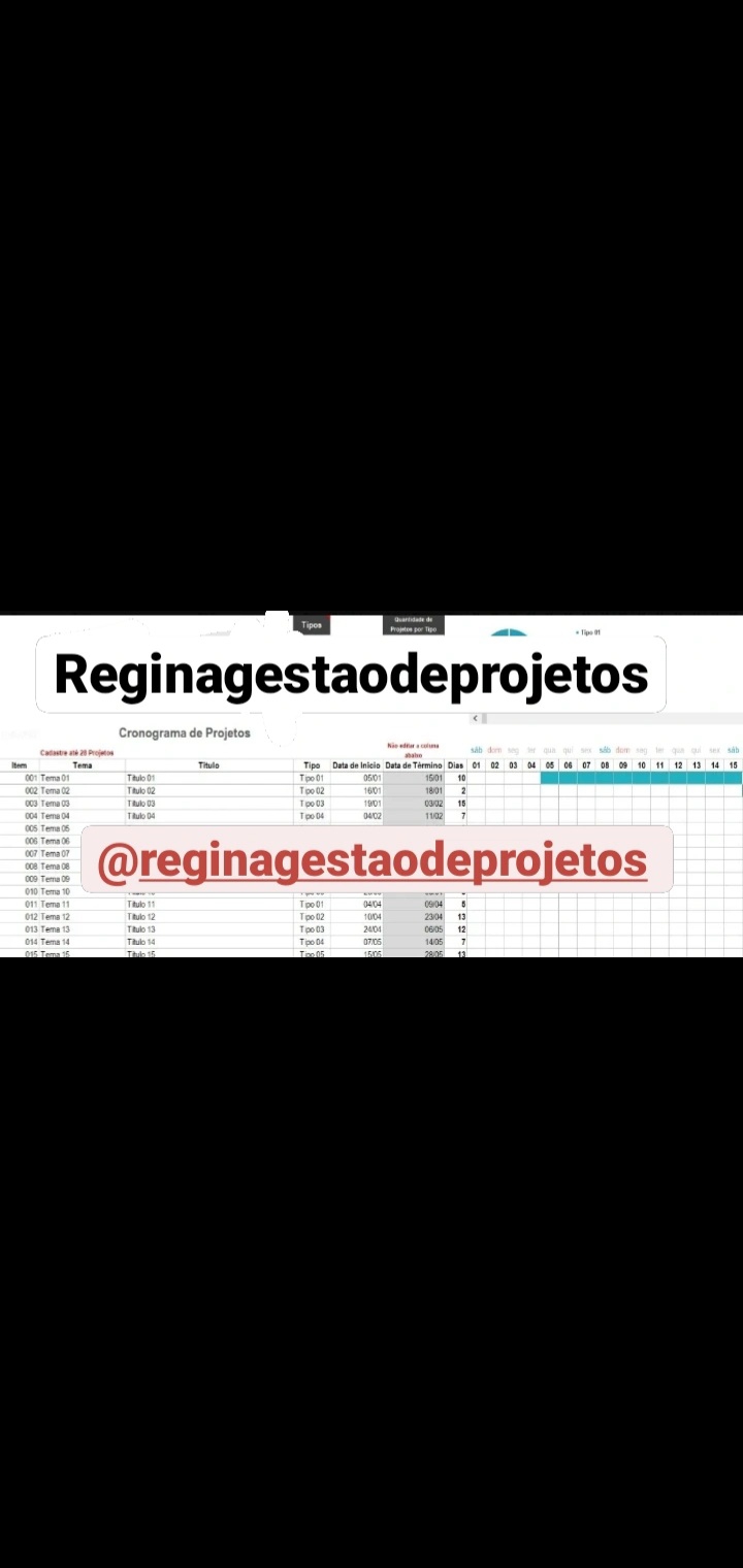 Planilha para Gerenciar projetos com grafico Gantt - Regina Marques...