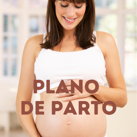 Meu querido Plano de Parto + Plano de parto em PDF - Katharine Loui...