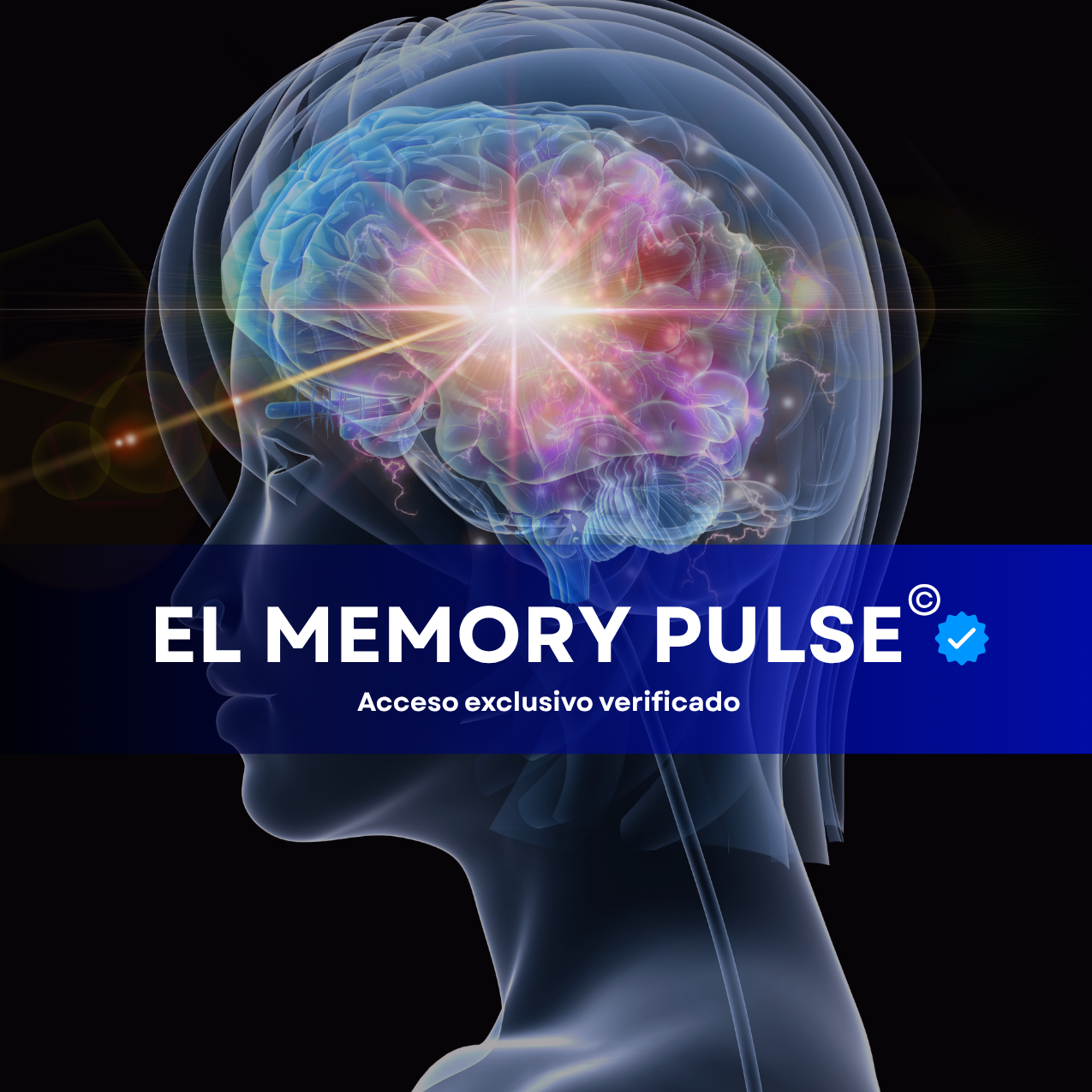 El Memory Pulse - RISE | Hotmart
