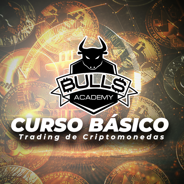 BULLS ACADEMY BASICO