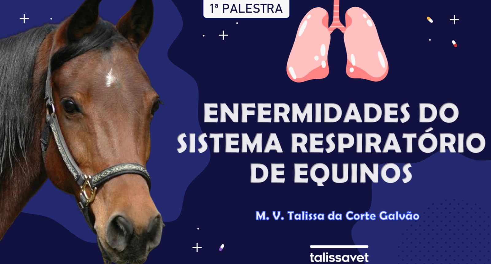 Enfermide do Sistema Respiratório em EQUINOS! - José Henrique Conce...