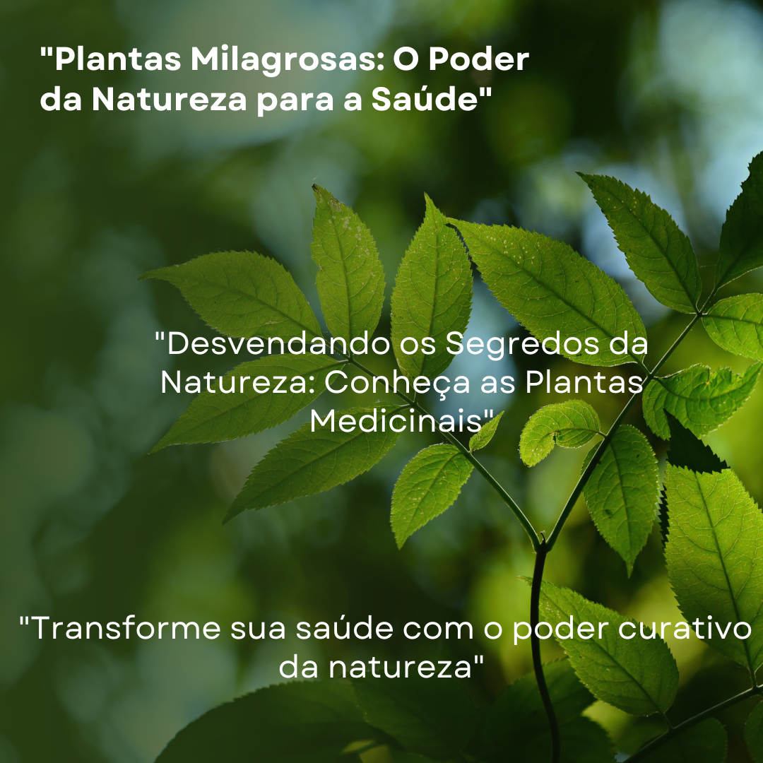 "Plantas Milagrosas: O Poder da Natureza para a Saúde" - Lucia Mend...