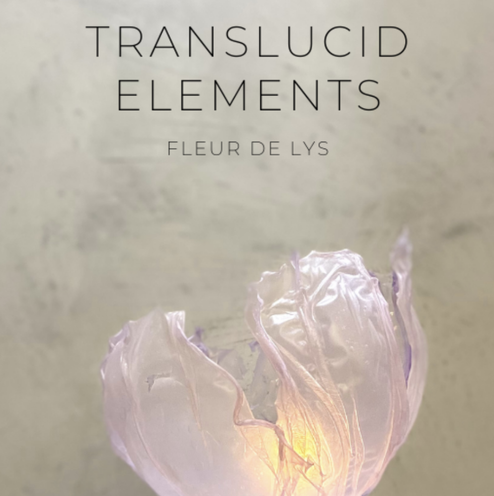 TRANSLUCID ELEMENTS PT