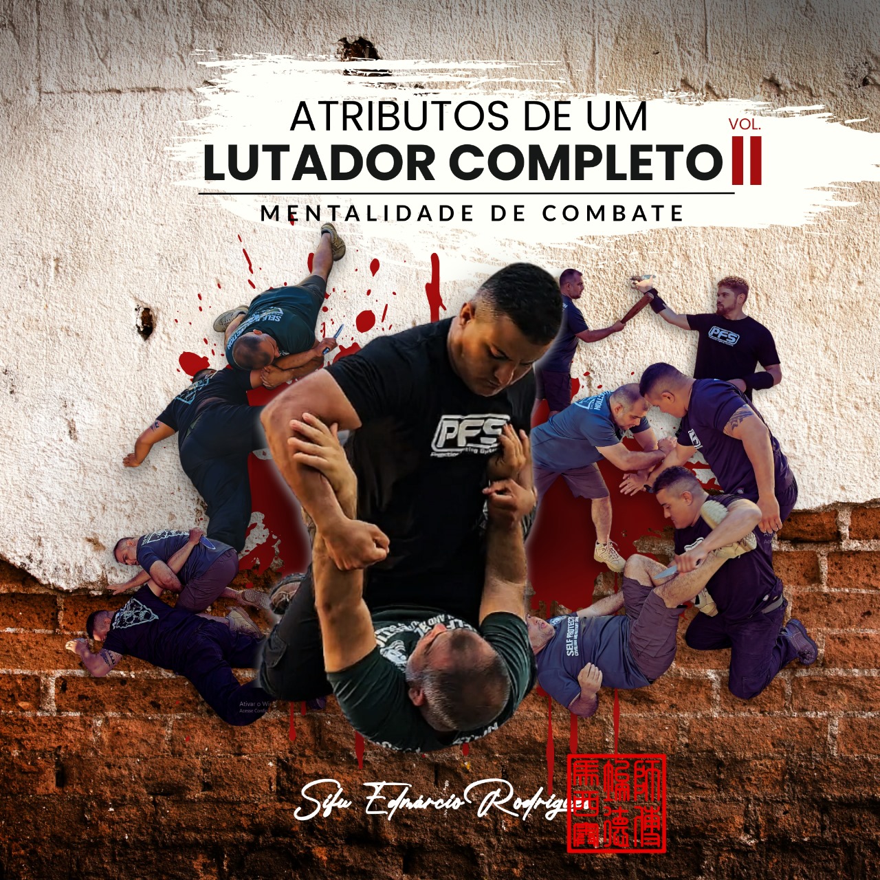 ATRIBUTOS DE UM LUTADOR COMPLETO II - MENTALIDADE DE COMBATE - Sifu...