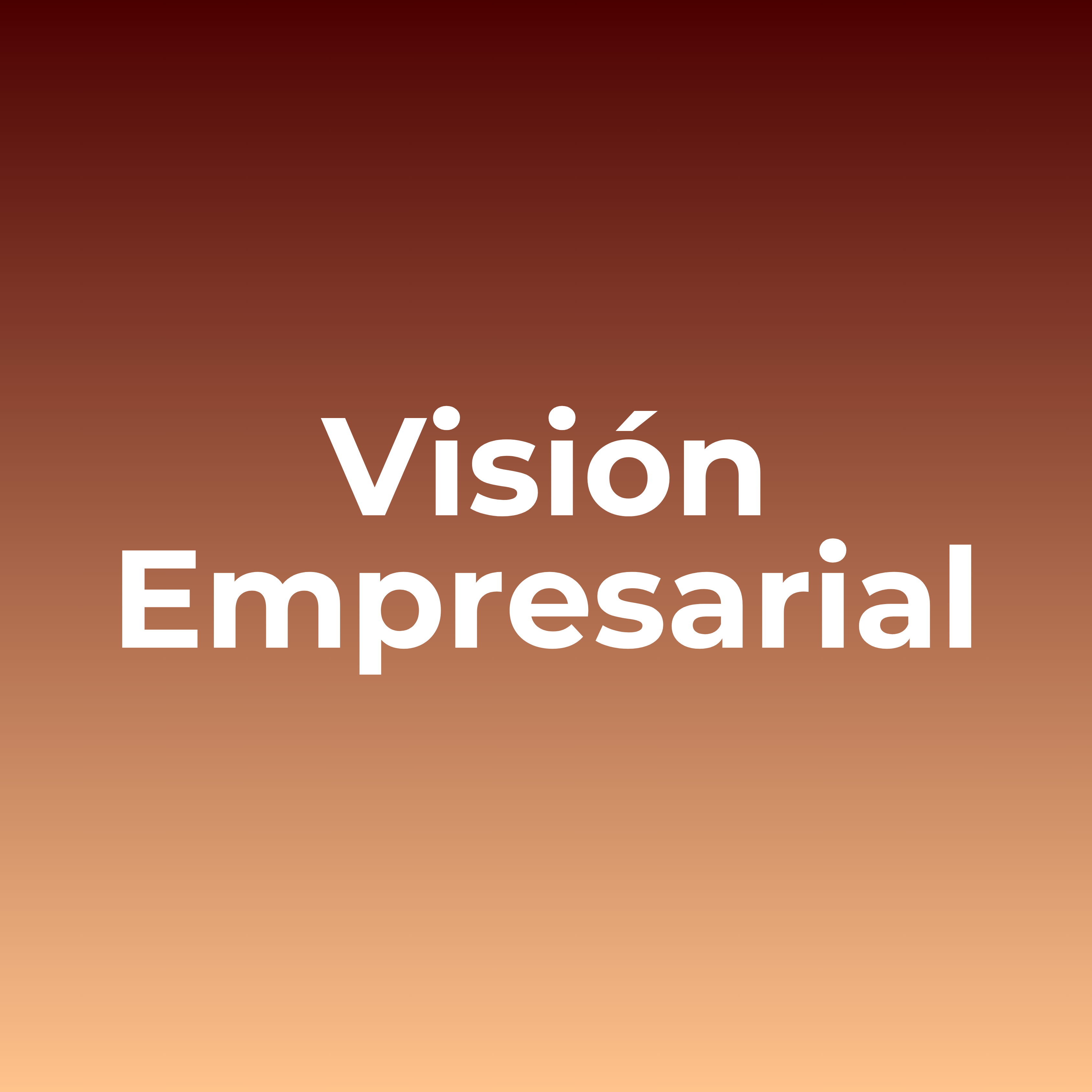 Visión Empresarial