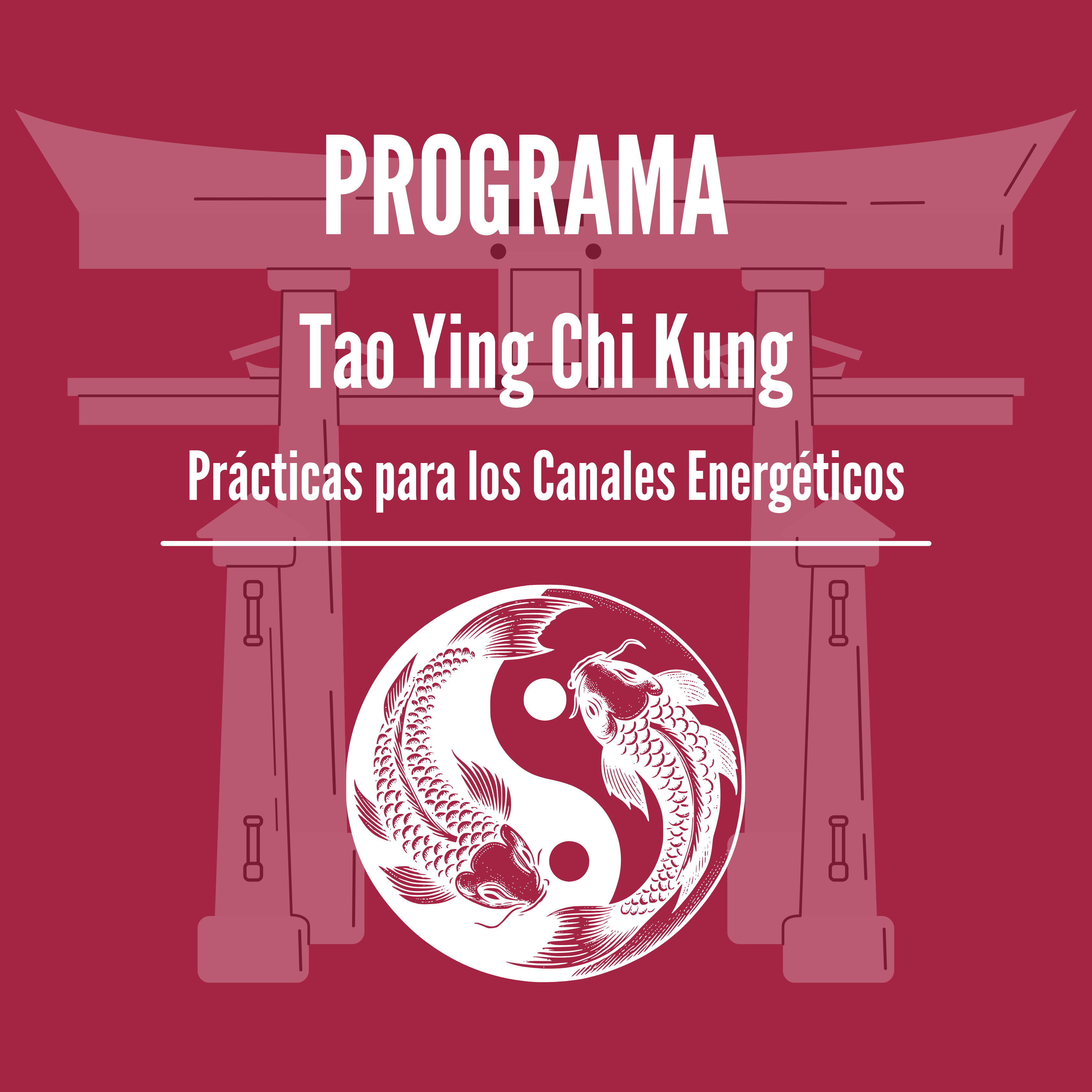 Programa - Tao Ying Chi Kung - Prácticas para los Canales Energétic...