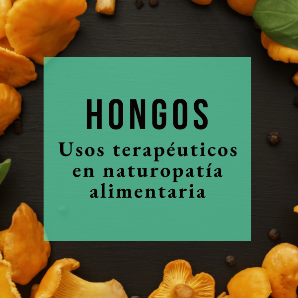 HONGOS: usos terapéuticos en naturopatía alimentaria