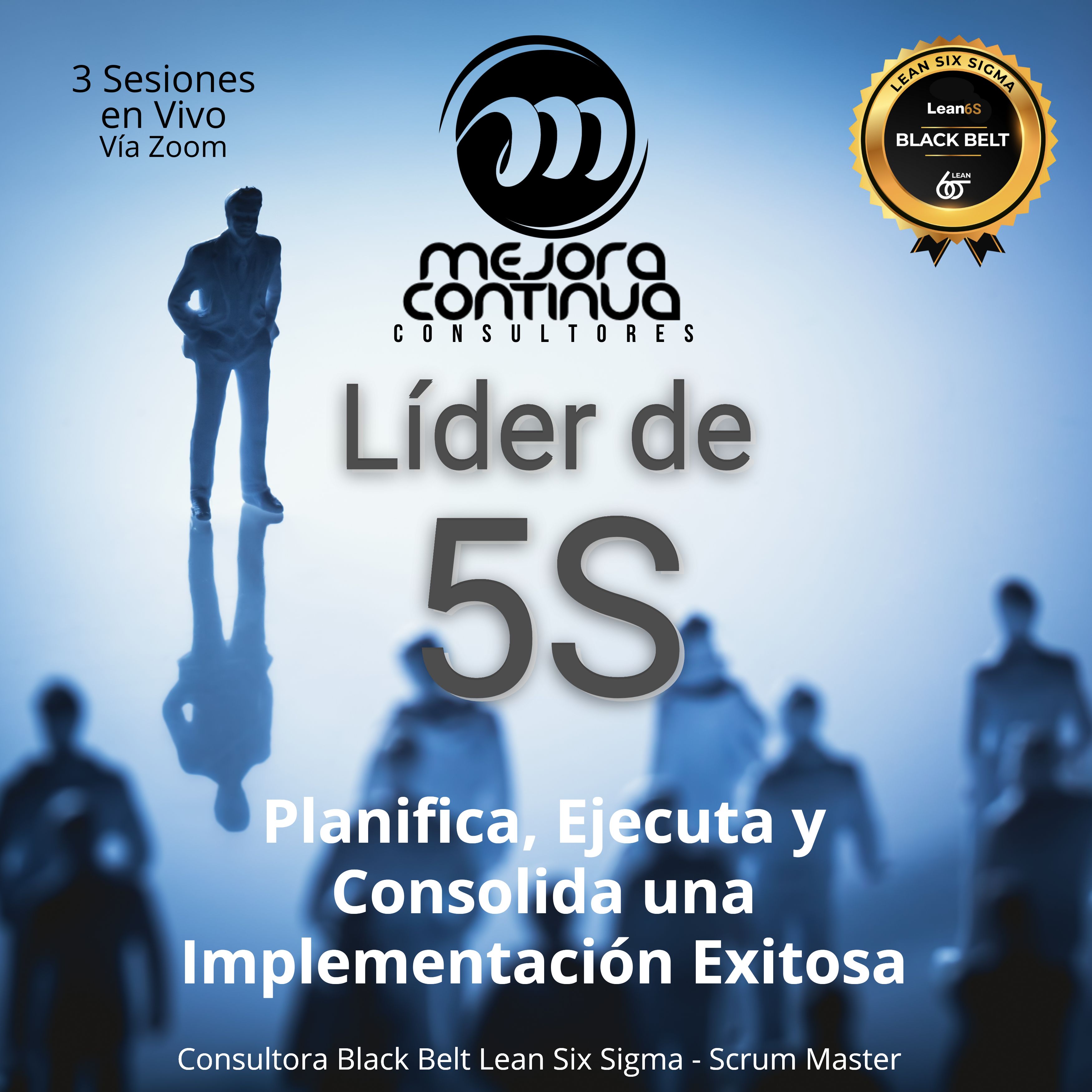 Líder de 5S: Planifica, Ejecuta y Consolida una Implementación Exitosa