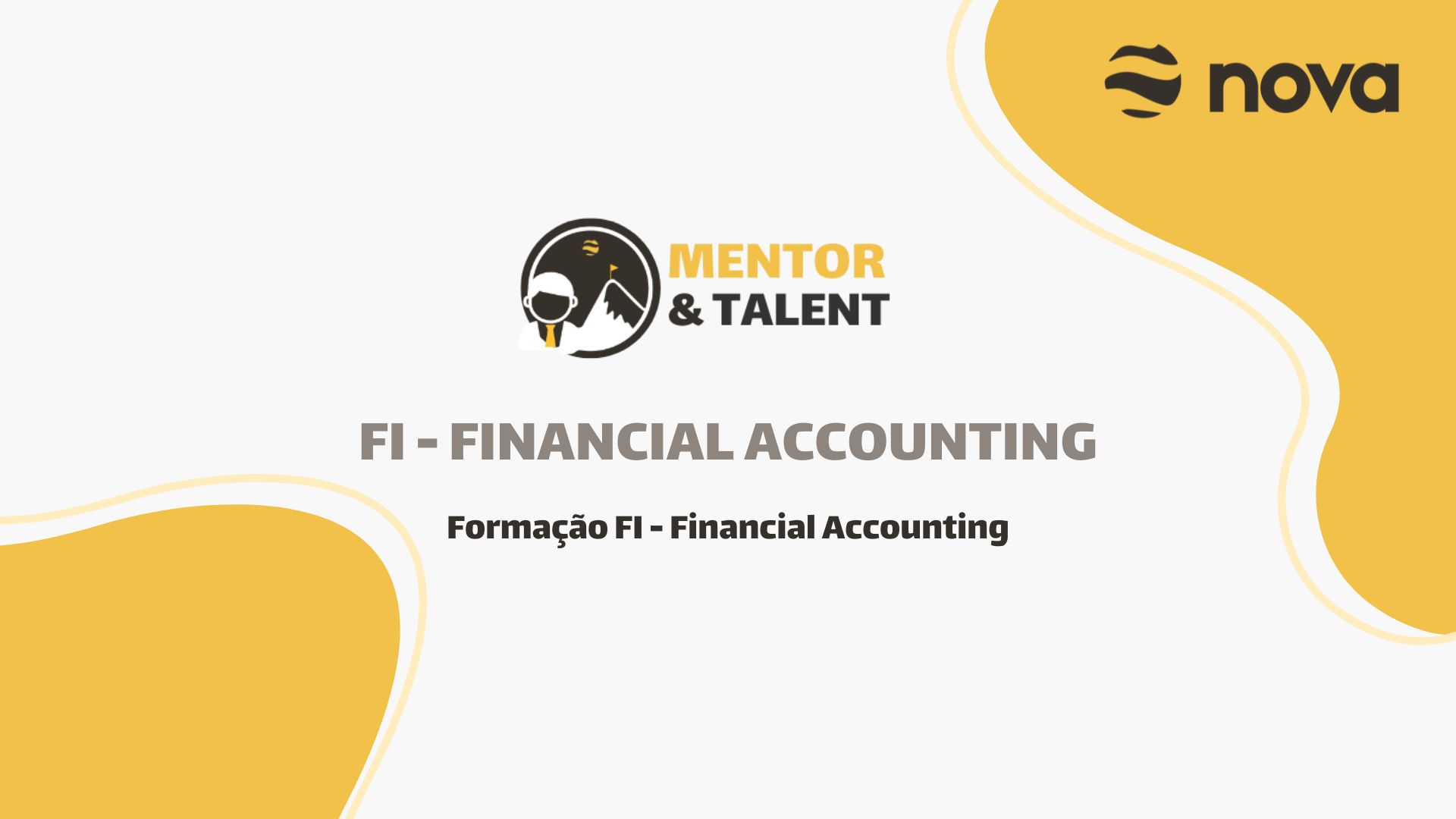 FI - Financial Accounting