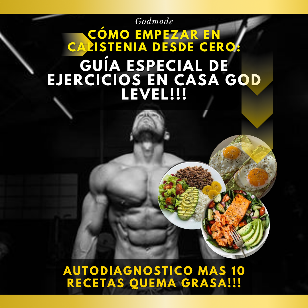EFECTO GODMODE: Calistenia Ejercicios en casa 6 niveles de 0 a GODM...