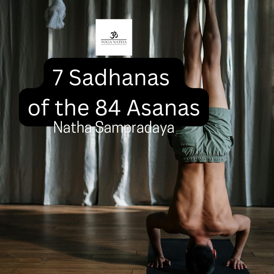 Guide of the 7 Sadhanas with the 84 Asanas in the Natha Sampradaya Indian Tradition
