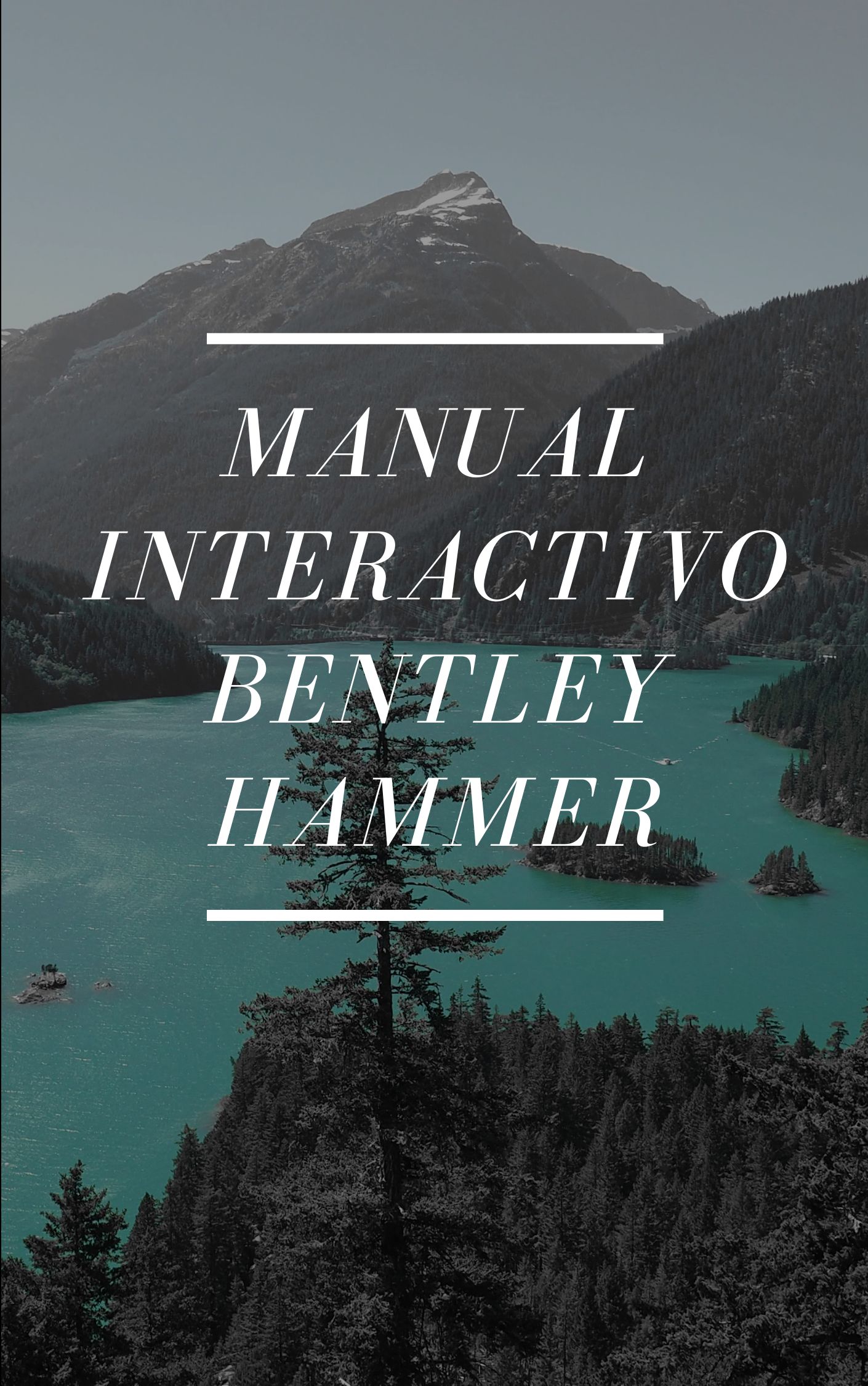 Manual Interactivo Bentley Hammer - María Belén Molina Ponce | Hotmart
