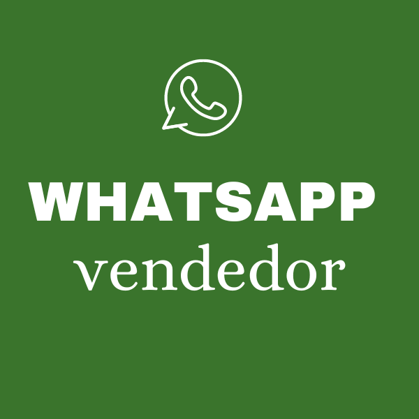 Whatsapp vendedor - Convertendo contatos em clientes - Isadora Ferr...