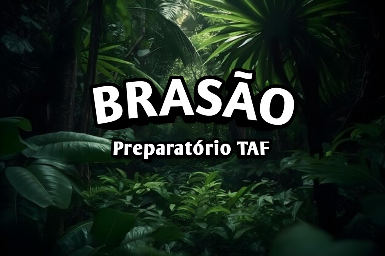 Brasão TAF - Miguel Drebel Matthes | Hotmart