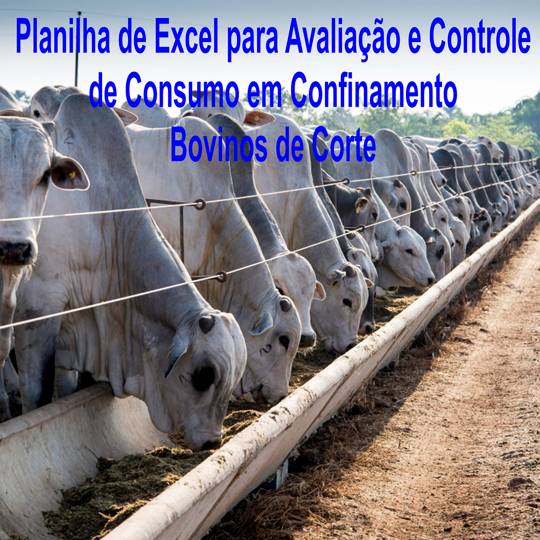Planilha de Excel para Avaliação e Controle de Consumo em Confiname...