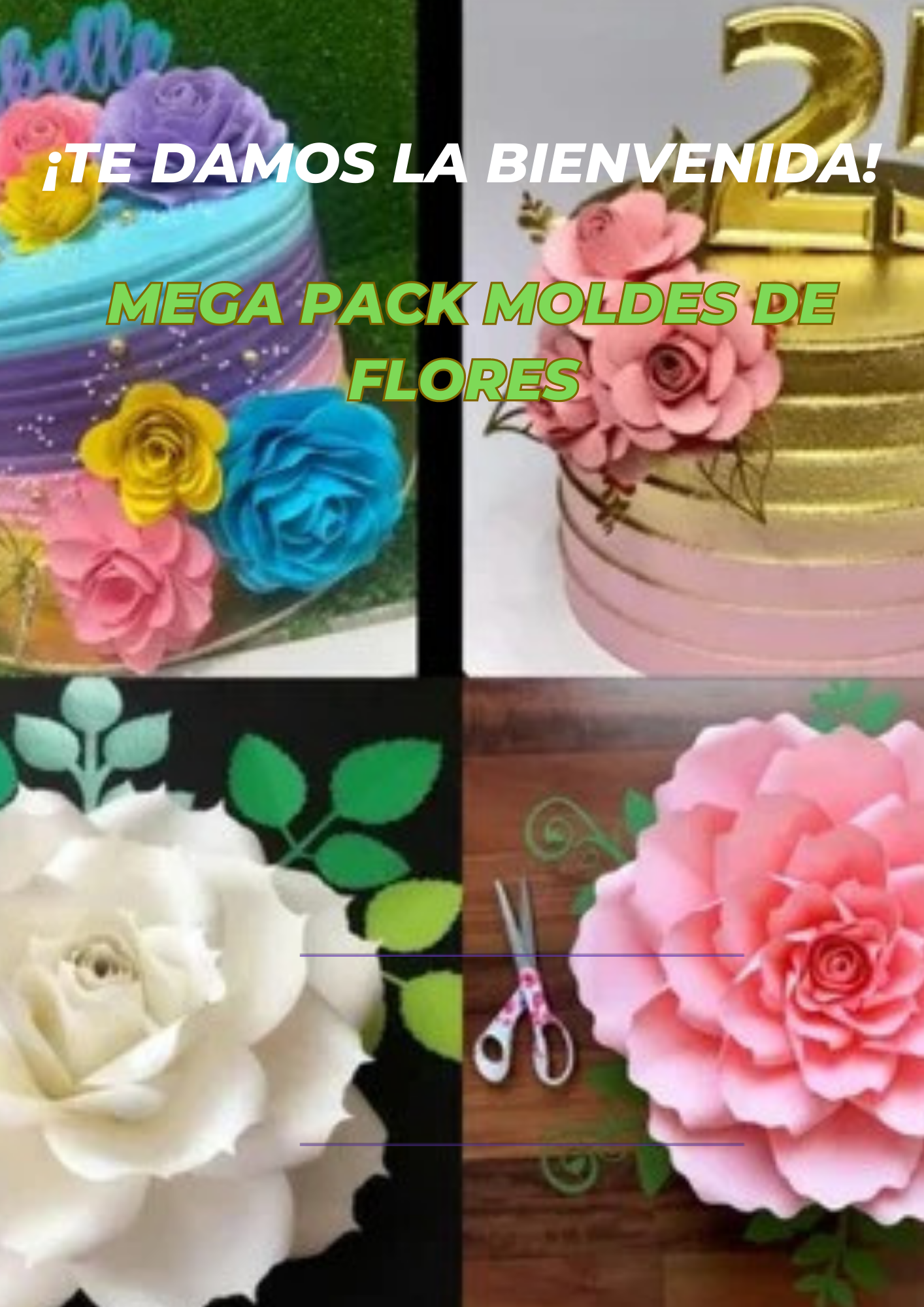 KITS 4 EN 1 DE MOLDES DECORATIVOS - Julio César Sagástegui | Hotmart