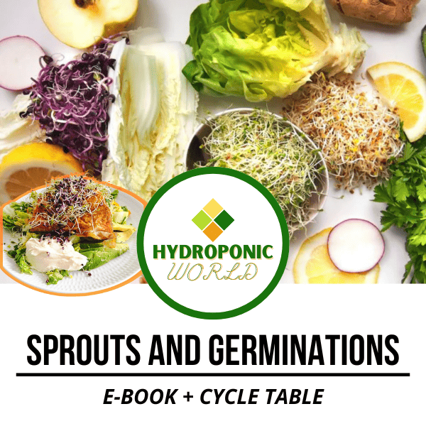 Sprouts and Germinations - Yesman Mendoza | Hotmart
