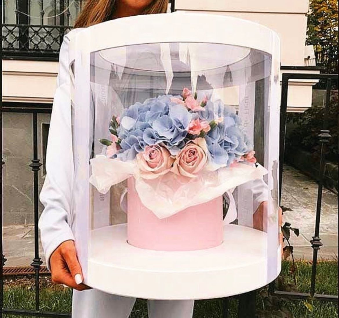 Caja Magistral - Leidy Pinto | Hotmart