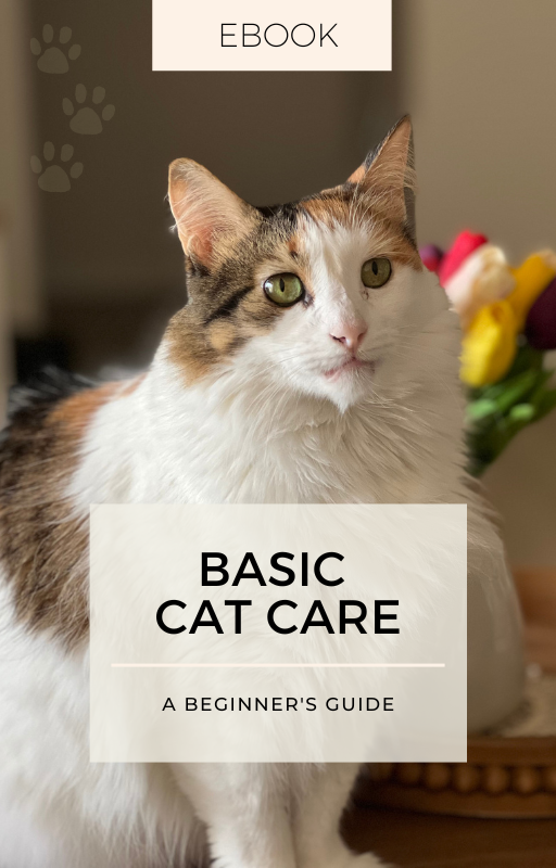 BASIC CAT CARE - A BEGGINER´S GUIDE - Maria Botero | Hotmart