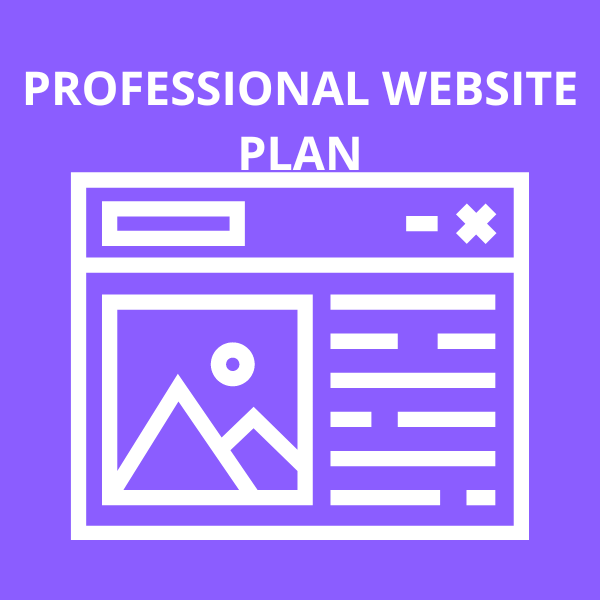 Professional Website Plan