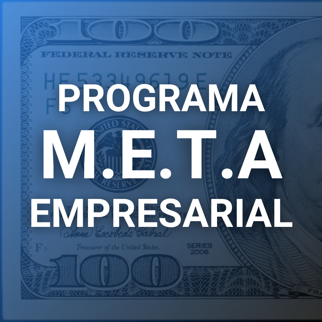 Programa M.E.T.A Empresarial - Lenae Echeverri Calderón | Hotmart