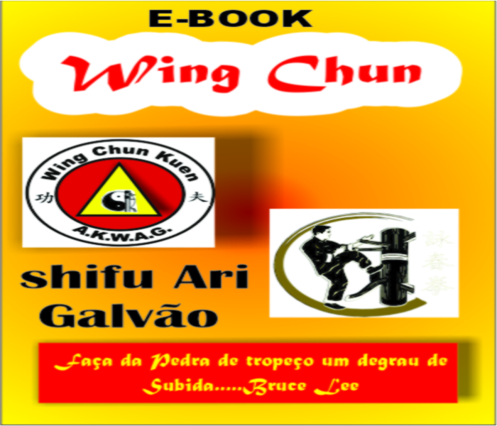 Modulo1 - Curso Basico de Wing Chun - ARISTERCLE DA SILVA GALVÃO