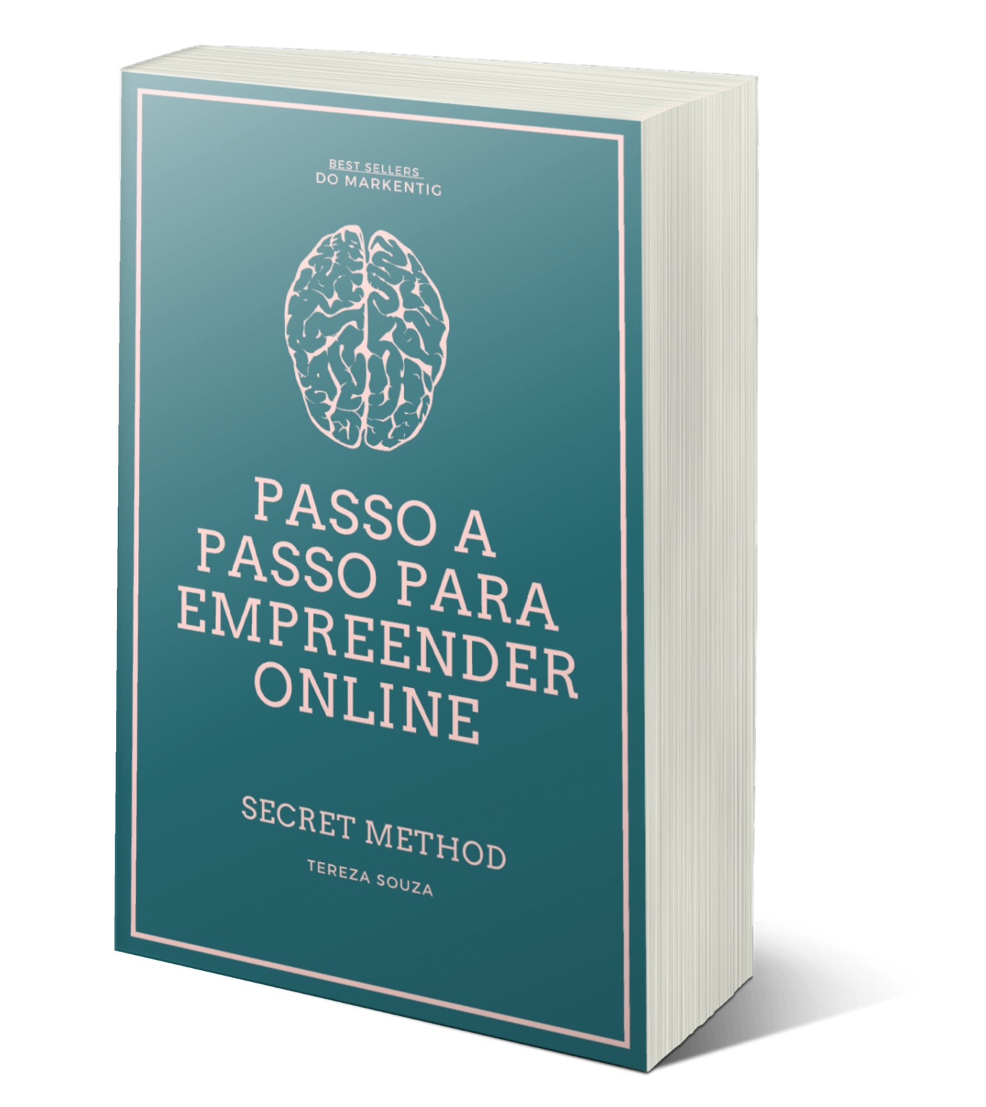 Passo a Passo Para Empreender Online - Secret Method