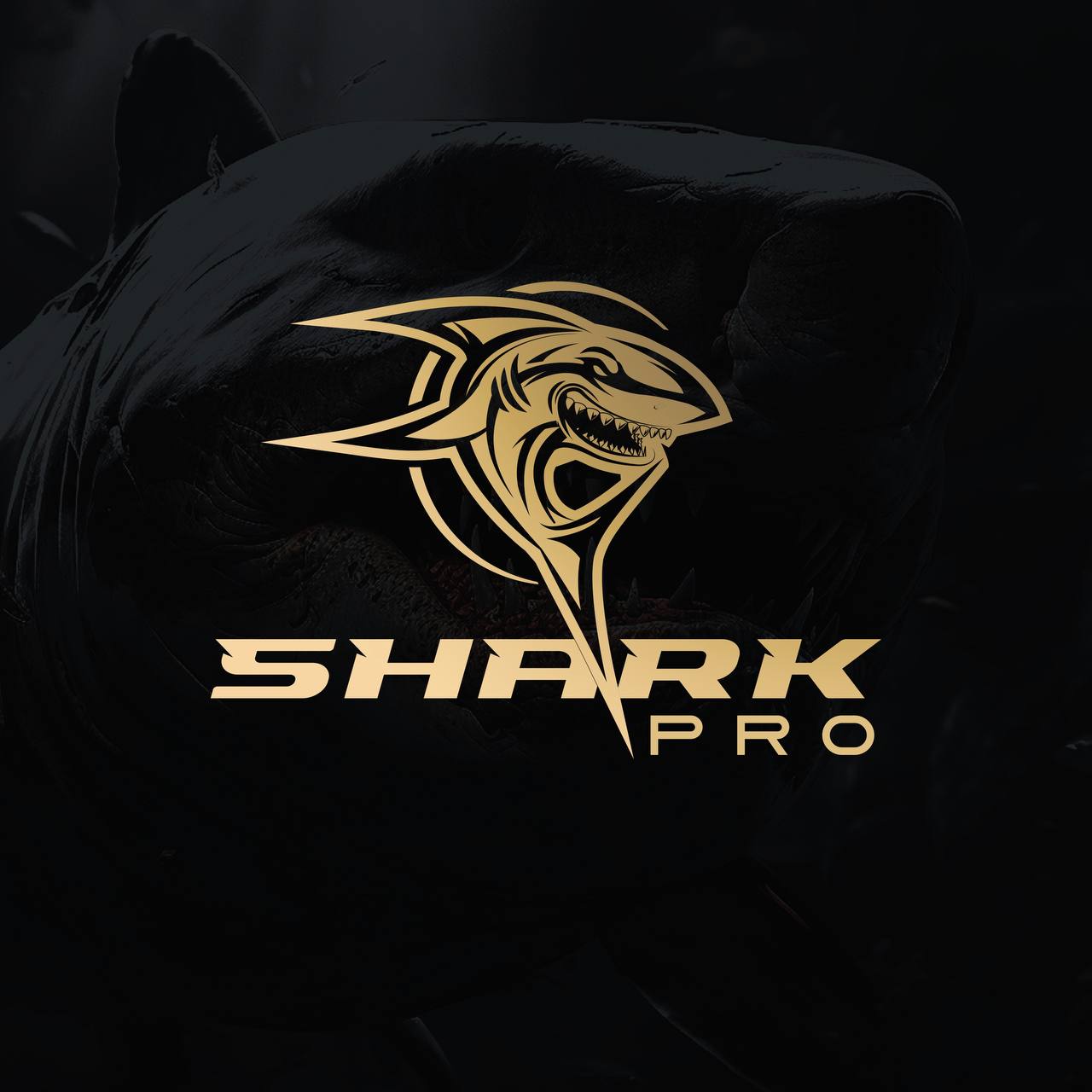 SHARK TRADER PRO - Juan José Olave Romero | Hotmart