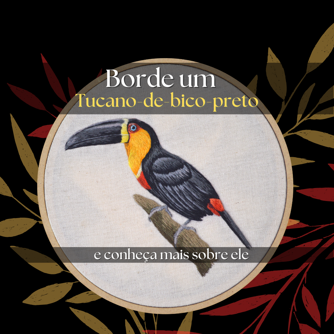 Borde um tucano-de-bico-preto e conheça mais sobre ele - Bordando E...