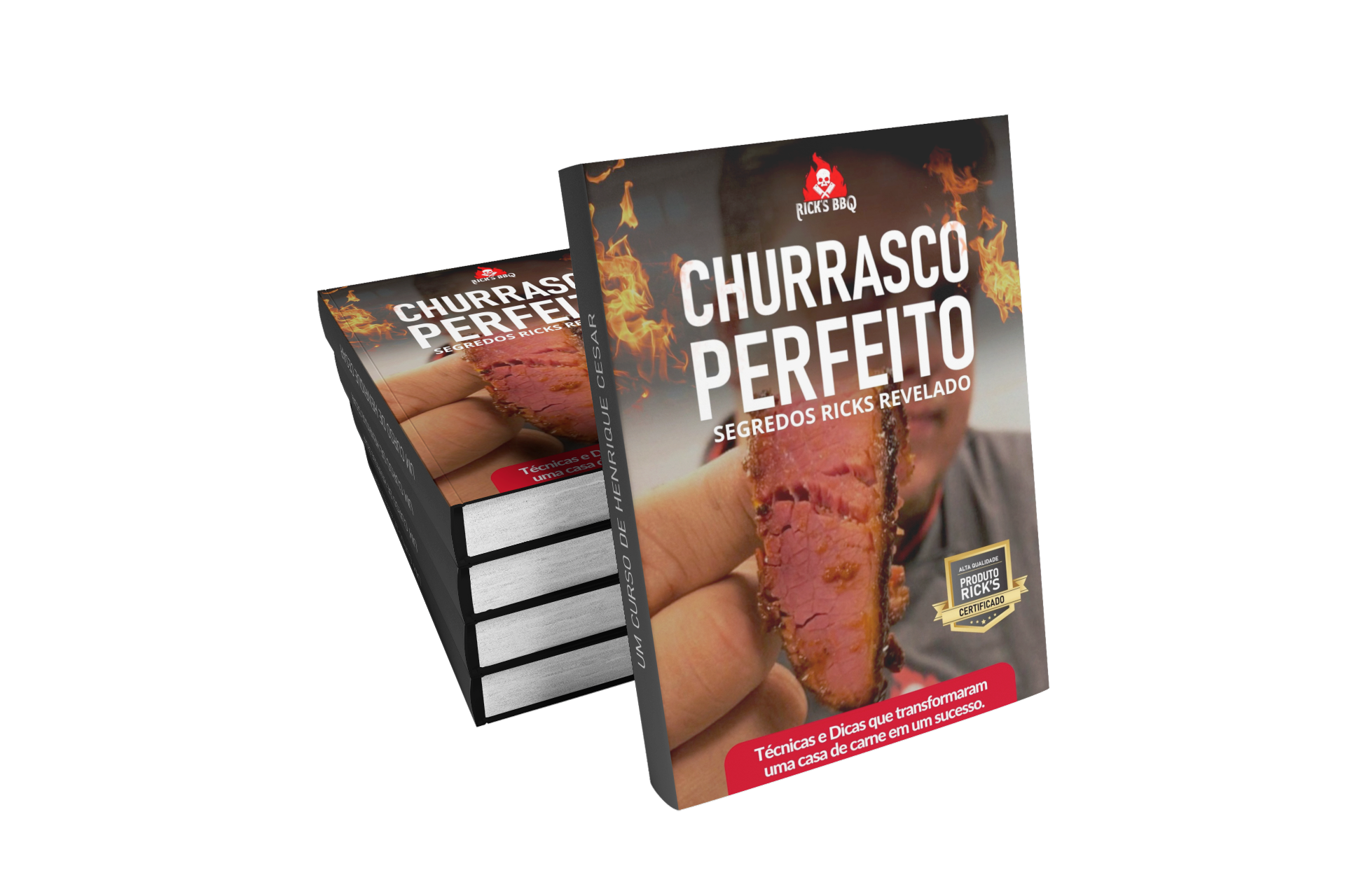 Churrasco Perfeito + Brinde : O Melhor da Picanha - Henrique Cesar...