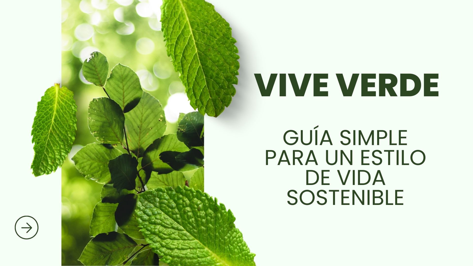 Vive Verde: Guía Simple para un Estilo de Vida Sostenible | Hotmart