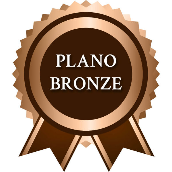 Plano Bronze Cursos da Educa