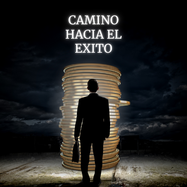 Camino hacia el exito - Platinum Academys | Hotmart