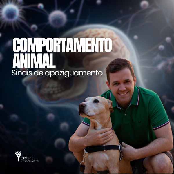 Comportamento Animal: Sinais de Apaziguamento - Centro de Educação ...