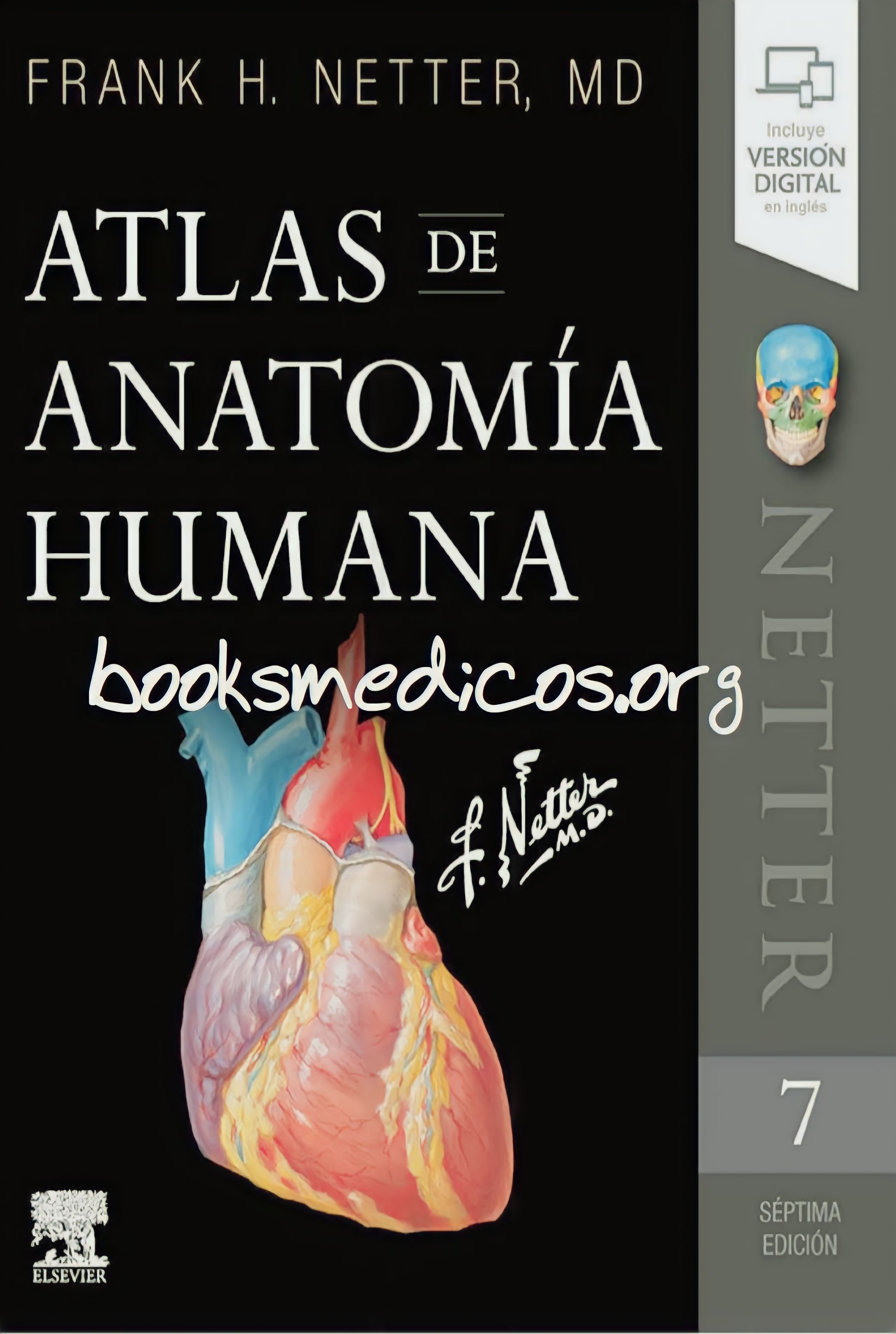 Netter Atlas de Anatomía Humana - Milagros | Hotmart