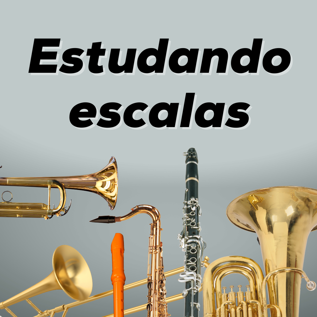 Estudando ESCALAS no seu instrumento de SOPRO - Suelen Mondini | Ho...