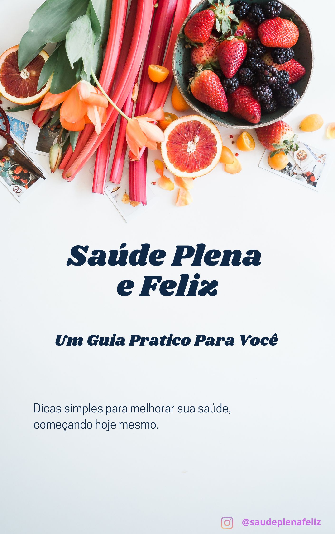 Ebook Saude Plena e Feliz - Wolfer | Hotmart