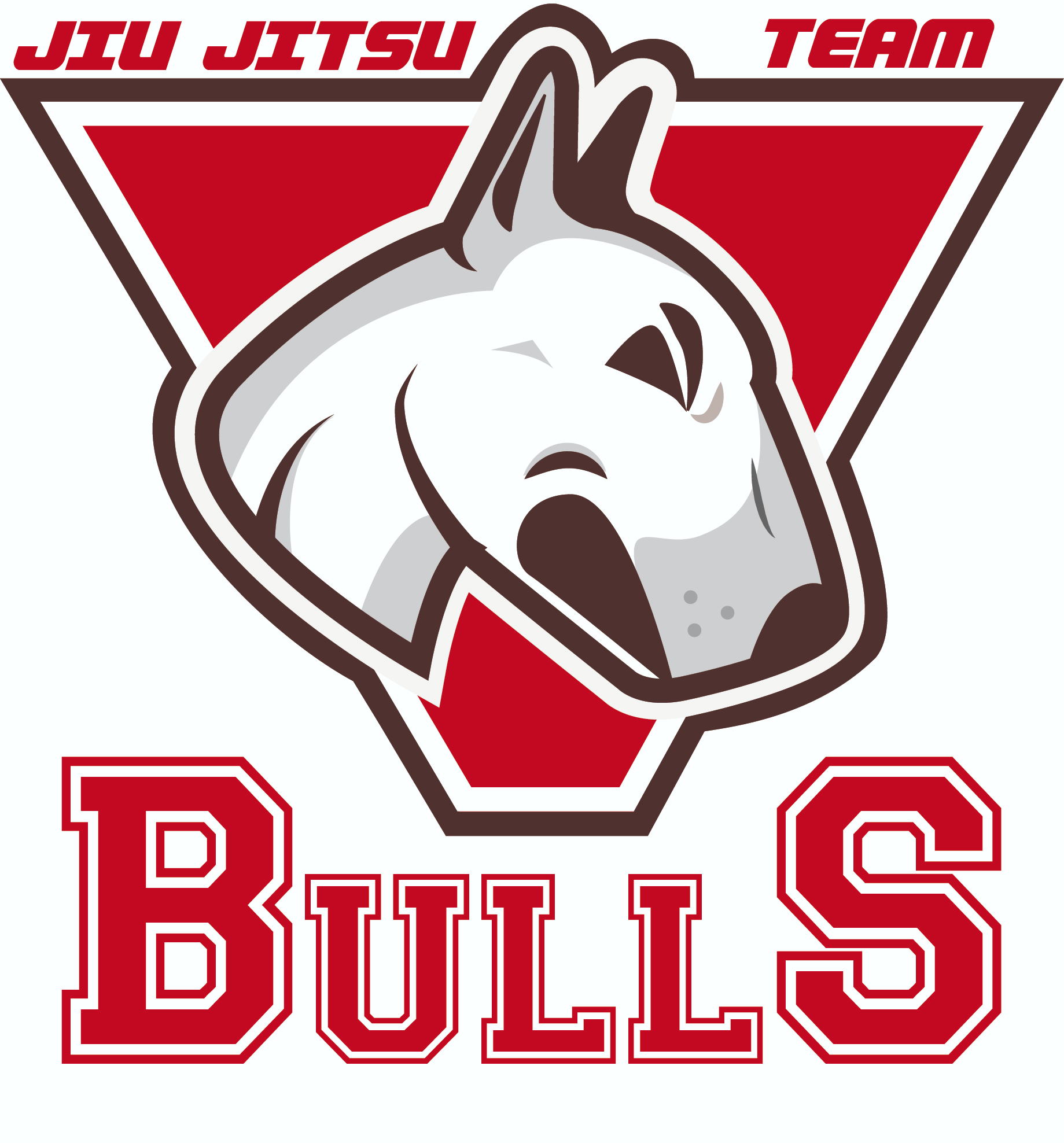 Bulls Jiu-Jitsu, Beginner guide.