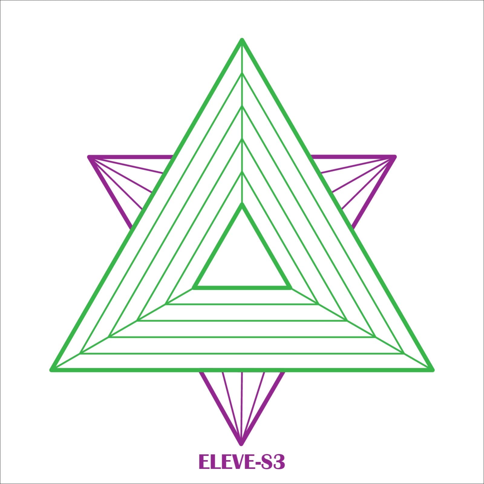 Eleve-S3 - Adalberto Palmanhani Junior | Hotmart