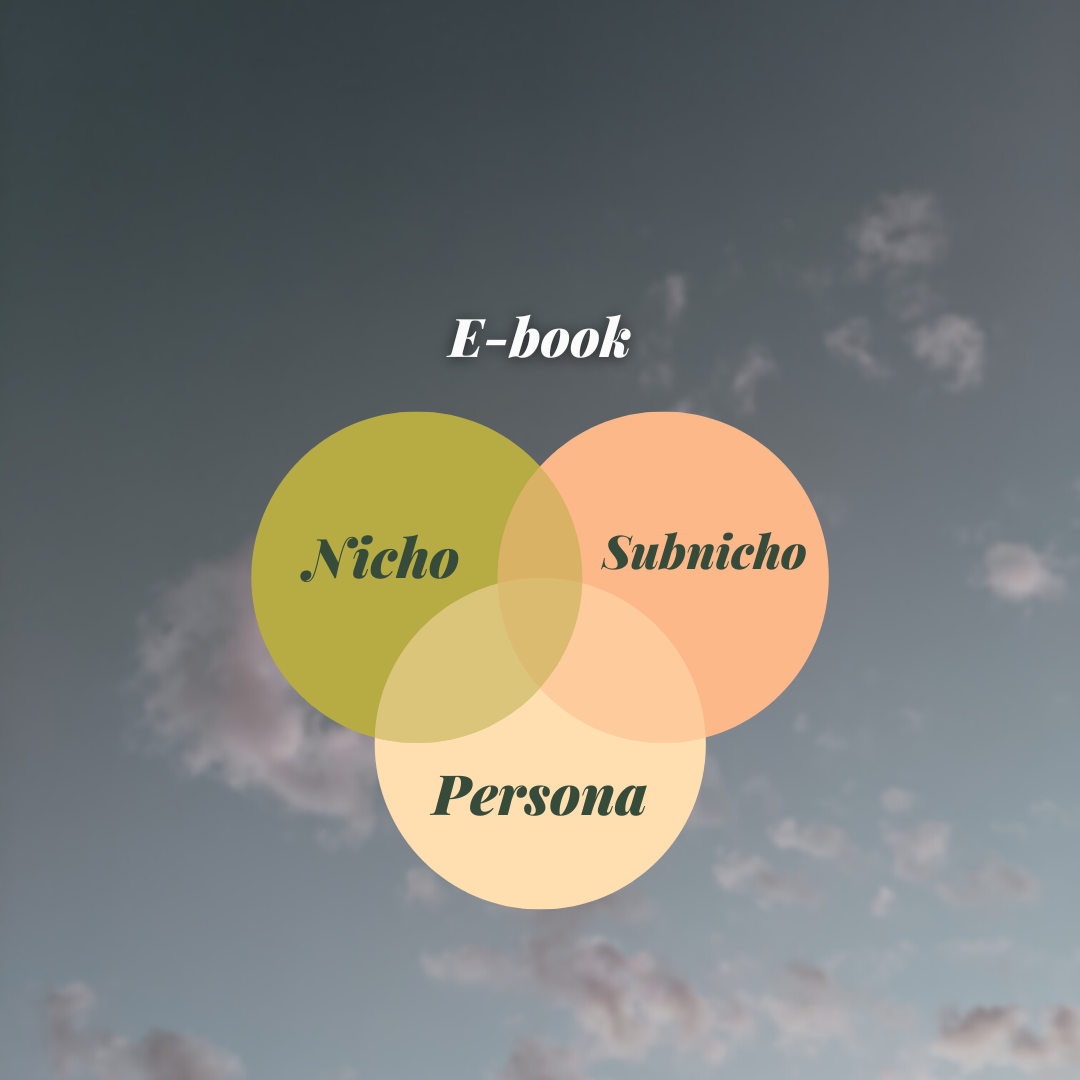 Nicho, Subnicho e Persona - Carina Maia | Hotmart