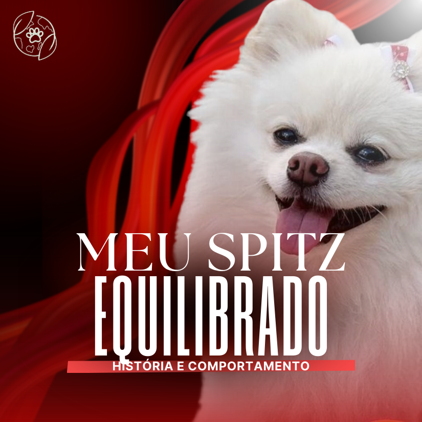 Meu Spitz Equilibrado: História e Comportamento - Julia Victória Be...