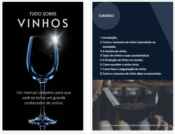 Curso Tudo Sobre Vinhos - Um manual completo para que você se torne... Curso Tudo Sobre Vinhos - Um manual completo para que você se torne...
