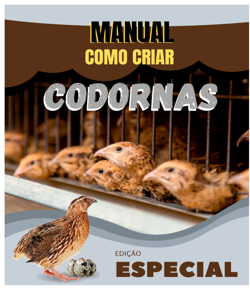 Como Criar Codornas