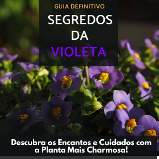 Segredos da Violeta - Rose Barbara Oliveira Santos | Hotmart