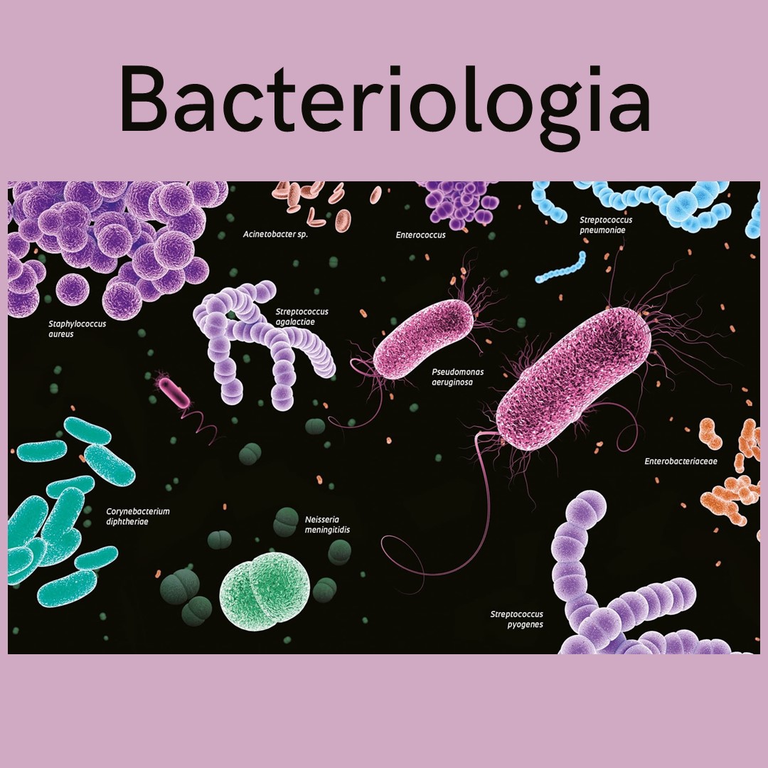 Bacteriologia - Dra. Letícia Maria Pezarico | Hotmart