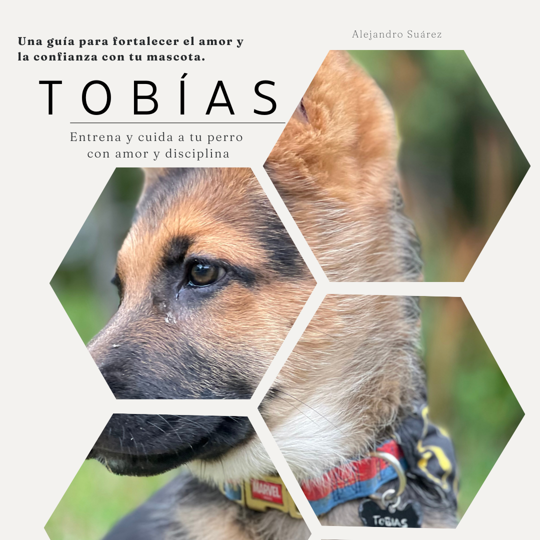 Tobías Entrena y cuida a tu perro con amor y disciplina. - Alejandr...
