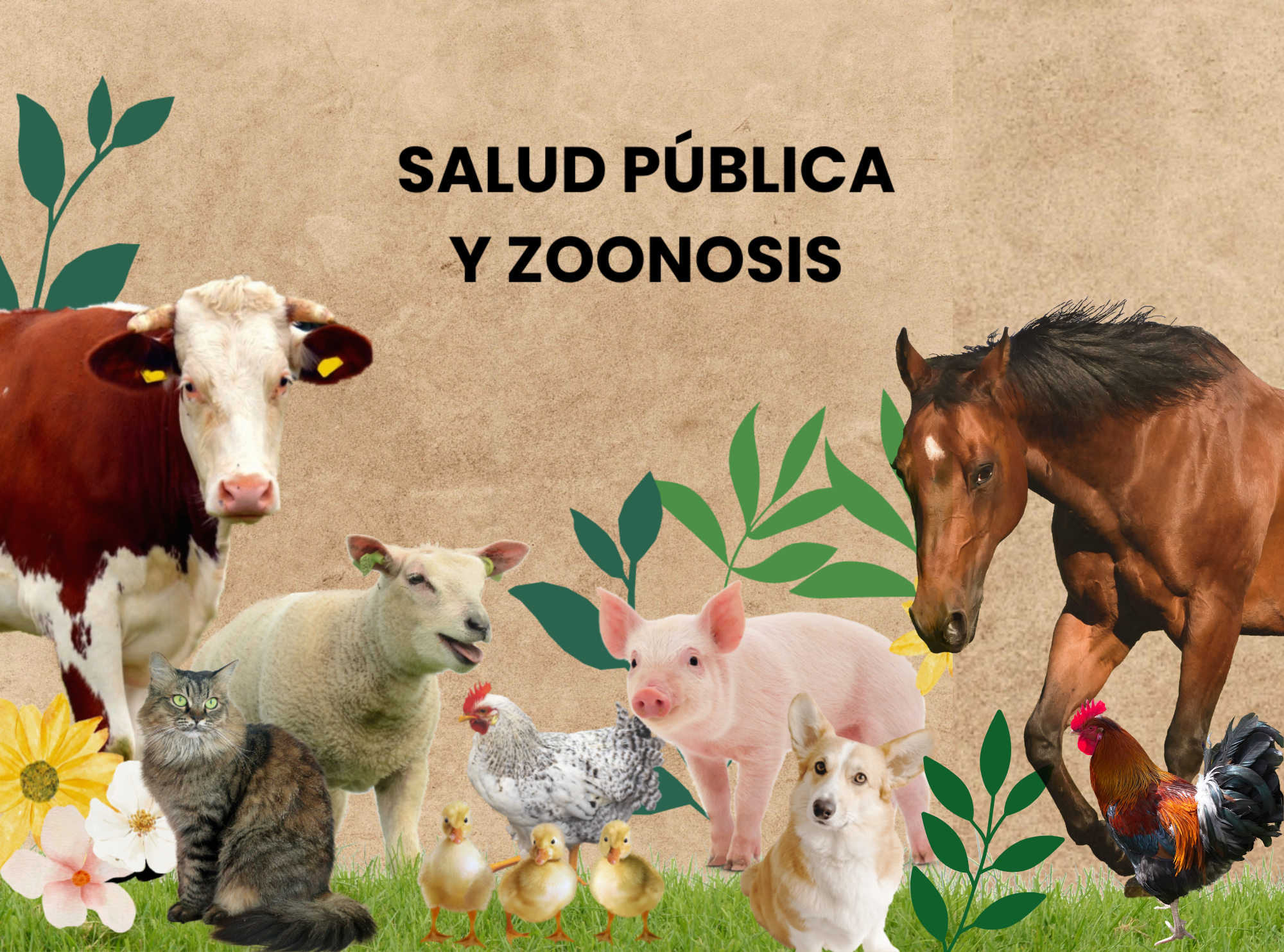Salud Publica y Zoonosis