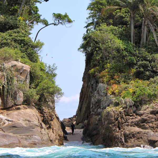 80 Wallpapers Exclusivos de Ubatuba - Seu Guia Caiçara 🌴 - Léo V...